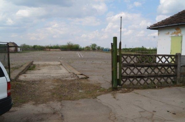 Cea mai frumoasă Piaţă de animale din judeţ era la Carei… :: Buletin de ...