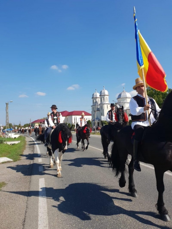 Călare din Satu Mare la Alba Iulia de Ziua Naţională :: Buletin de Carei